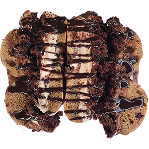 Fun and Delicious Crazy Bagels in North Massapequa